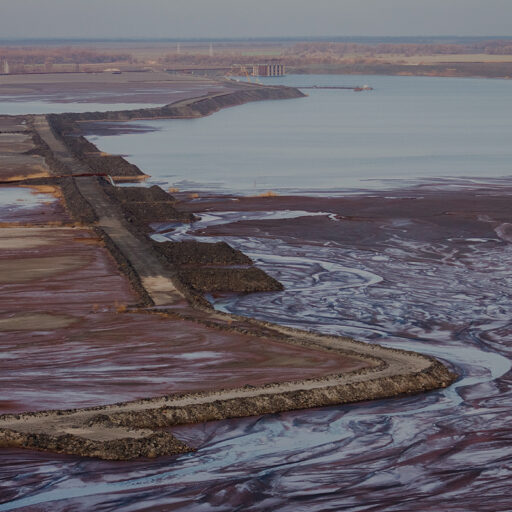 Water Intake - Xylem